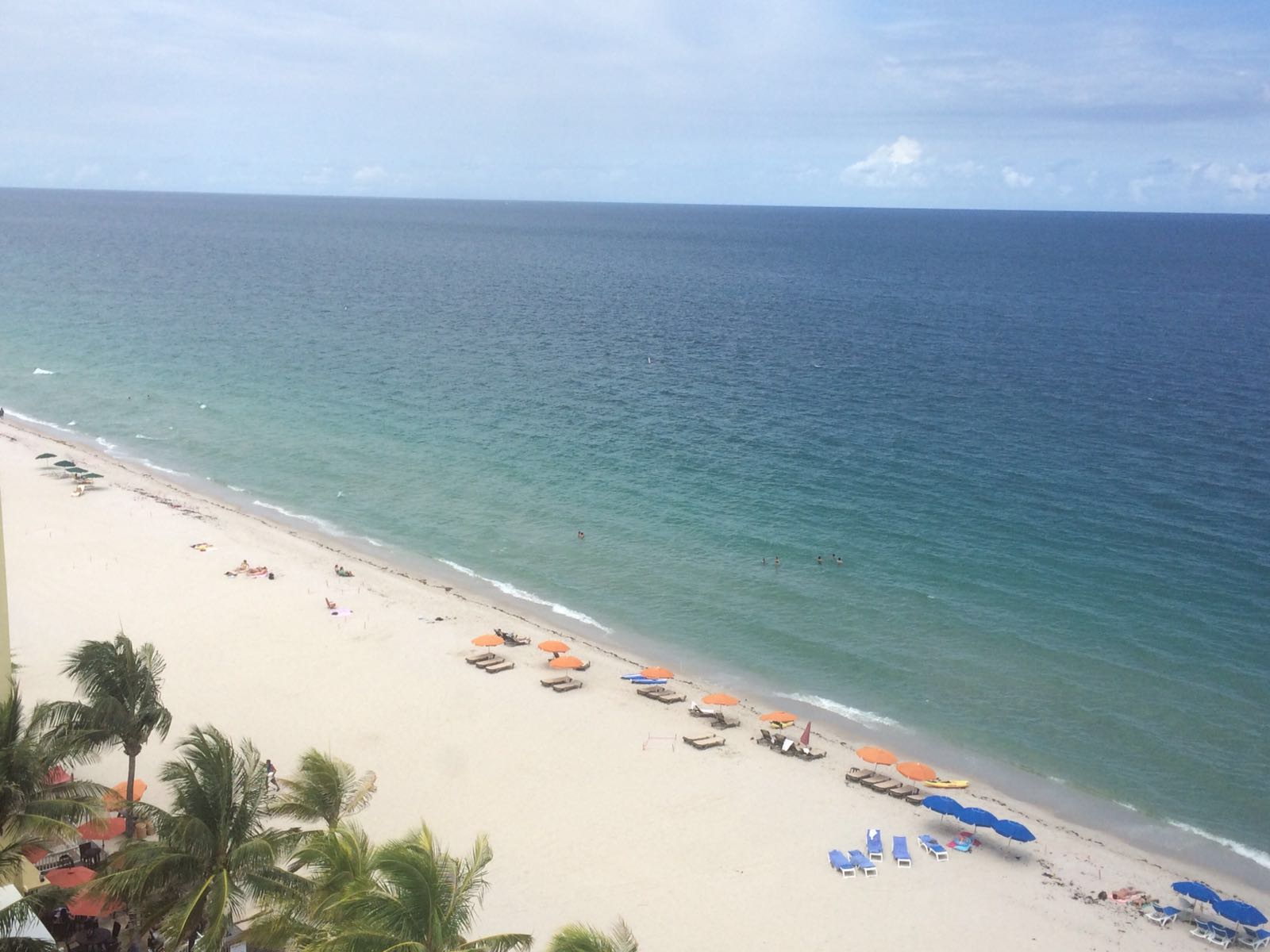 Dorothea Smartt’s Residency – Week 1 Blog Post – fresh milk barbados