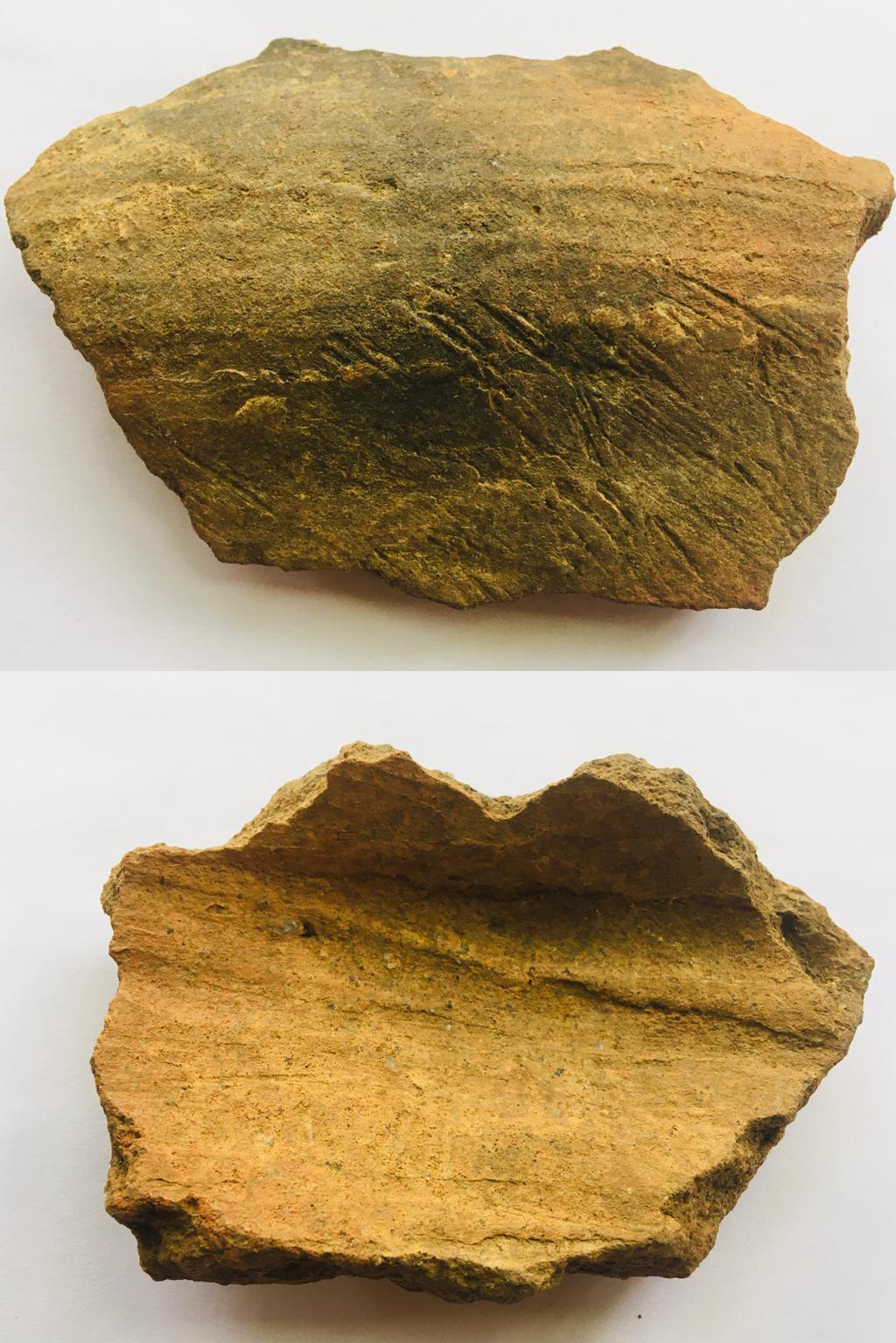 About – fresh milk barbados